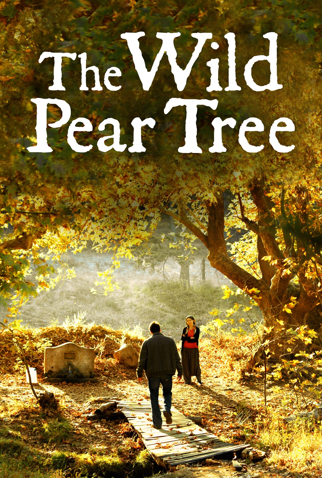 THE WILD PEAR TREE | SPHÈRE-FILMS